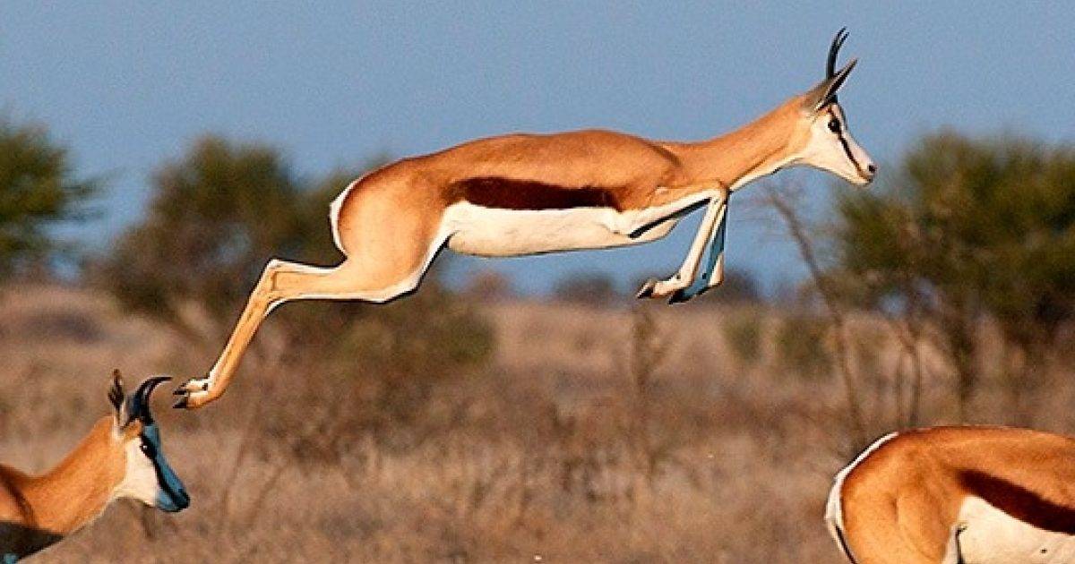 Tavistock Institute of Human Relations | New TIHR collaboration in…