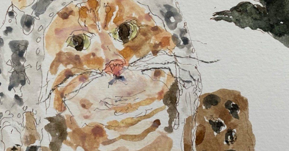 Tavistock Institute of Human Relations | #10 Social Dreaming Matrix:…