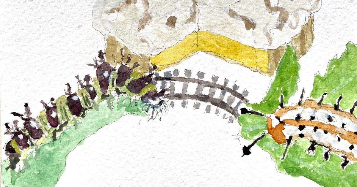 What is a Social Dreaming… | Tavistock Institute of Human Relations