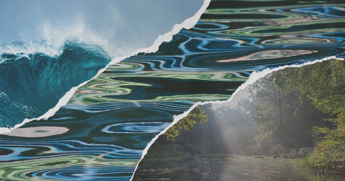 Featured publications and… | Tavistock Institute of Human Relations